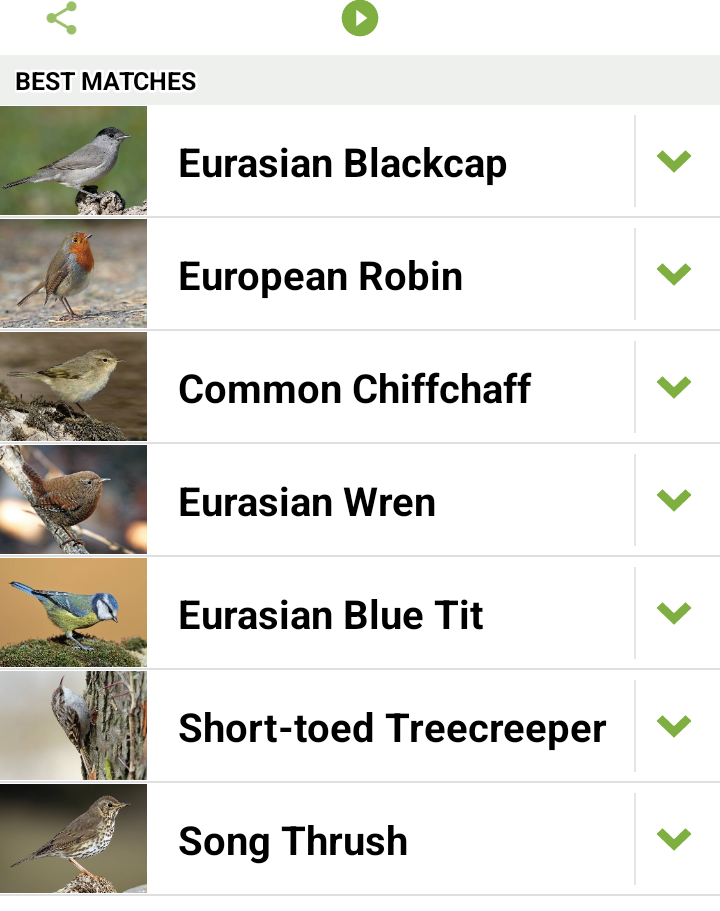 The good, the bad and the middling - ID apps | Sussex Wildlife Trust