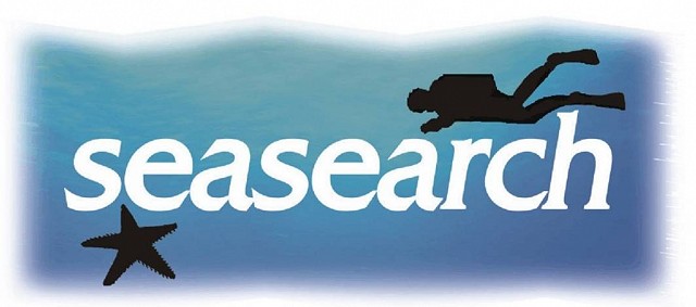 Seasearch Dives – Beachy Head East (20/06/2023) | Sussex Wildlife Trust