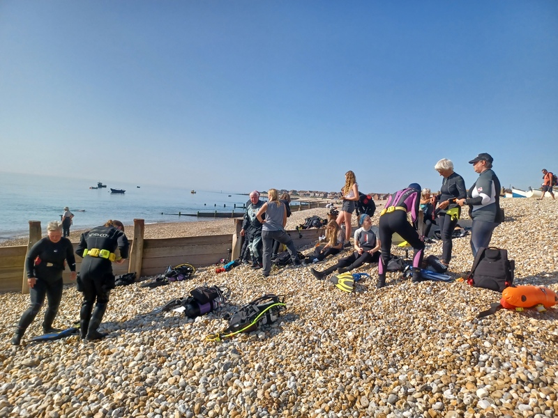 Seasearch Training Day | Sussex Wildlife Trust
