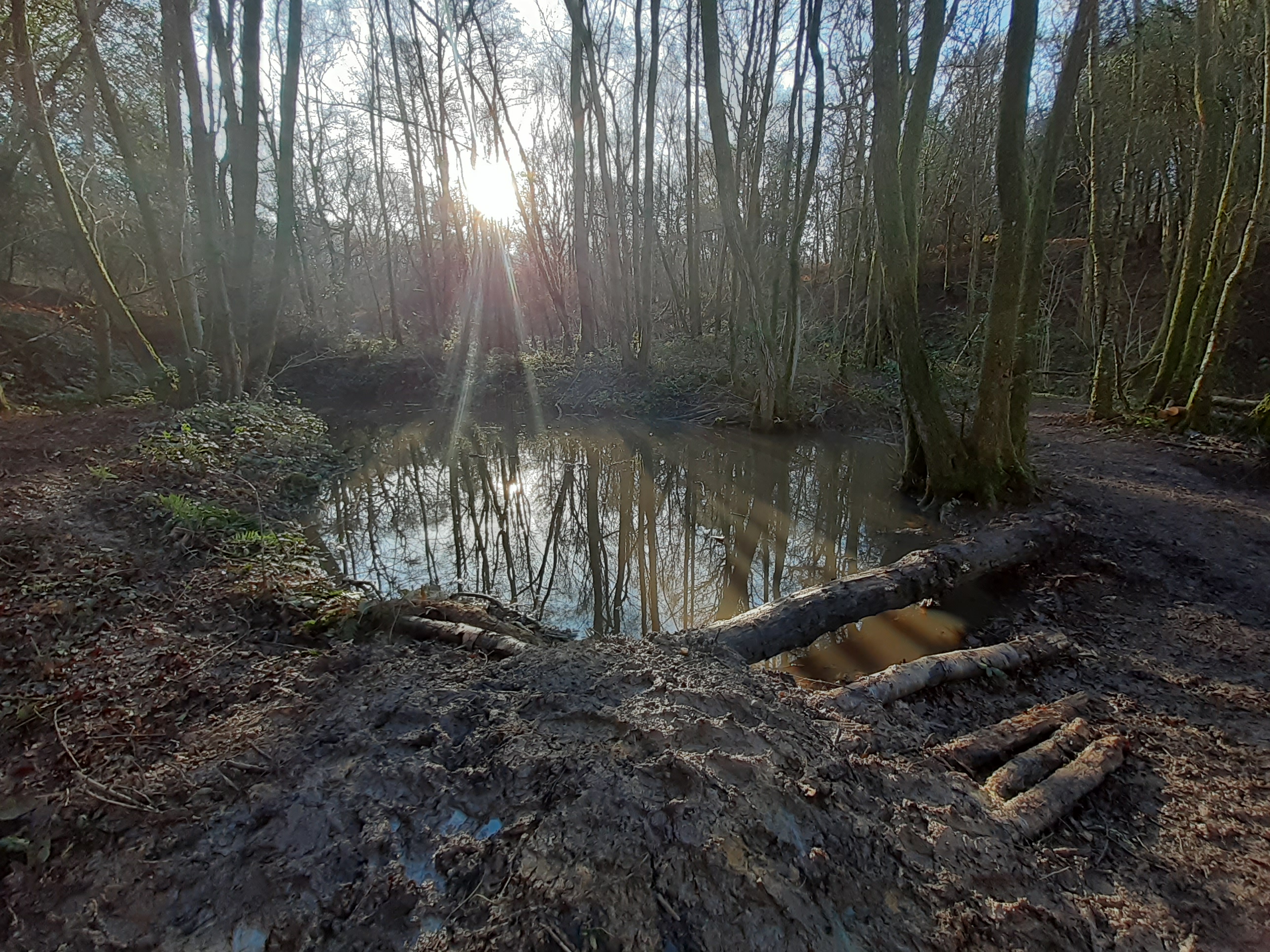 Wild Wetlands | Sussex Wildlife Trust