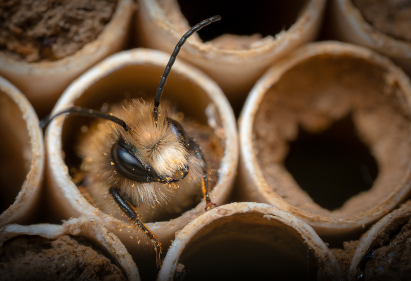 Behind the Lens with Paul Parsons | Sussex Wildlife Trust