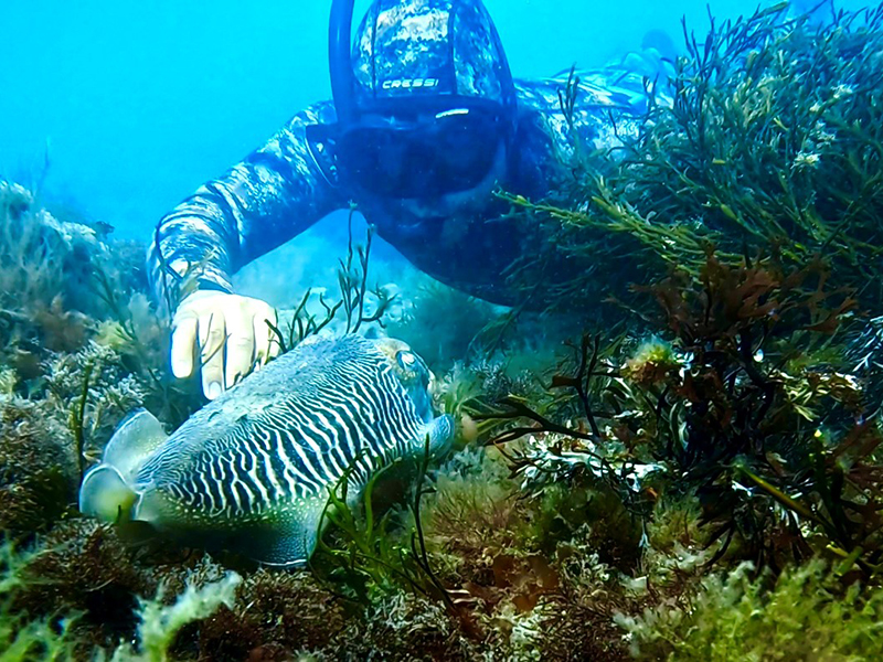 Sea the Connection: National Marine Week 2024 | Sussex Wildlife Trust