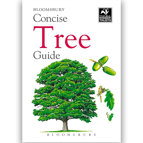 Concise Tree Guide | Sussex Wildlife Trust