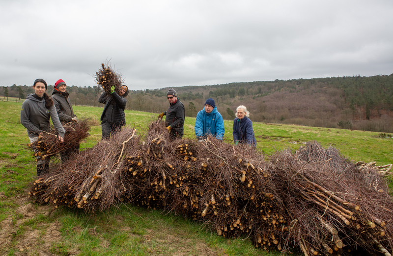 Farming - working with nature | Sussex Wildlife Trust