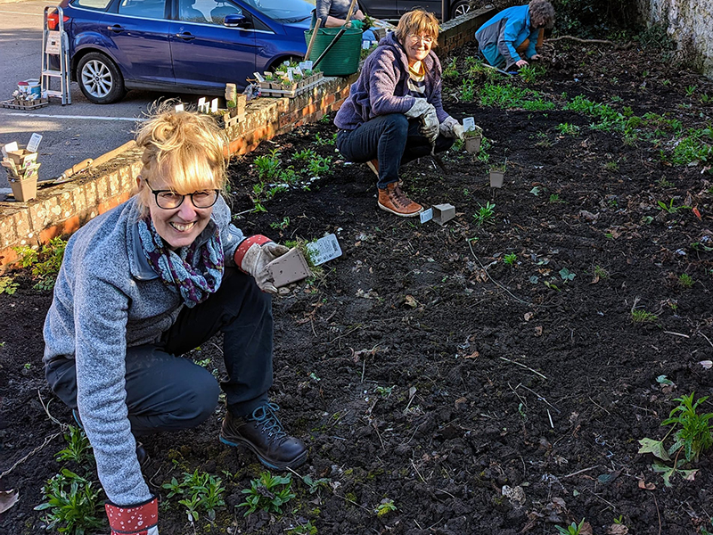 Wildflower Lewes and the High Street pollinator project | Rye Harbour ...