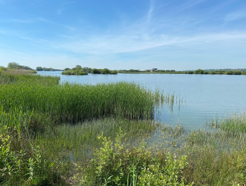 A volunteering double act | Sussex Wildlife Trust