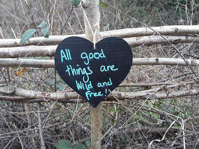 Wild about Art morning for pre-schoolers– Rye Harbour Nature Reserve ...